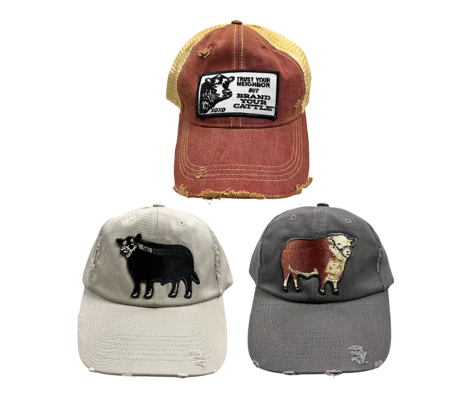 Cattle Caps Assorted-xoxo | Red Bluff Round-Up Mercantile