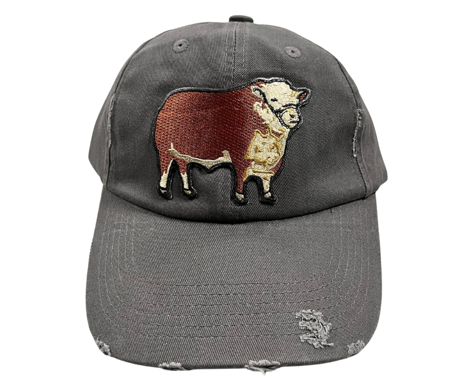 Cattle Caps Assorted-xoxo | Red Bluff Round-Up Mercantile